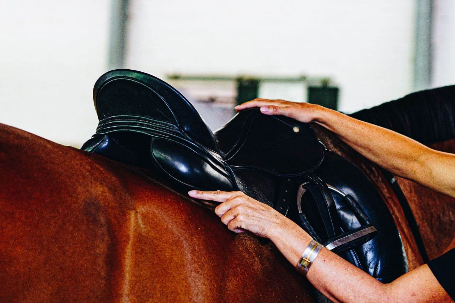 Sattel für kurze Pferde: Besonderheiten beachten